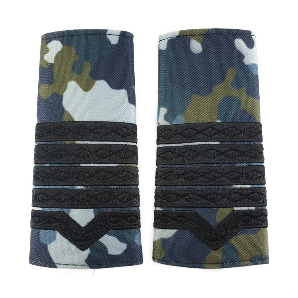 GRADE MApN | EPOLETI SI INSEMNE ARMATA : Grade Maistru Militar ...